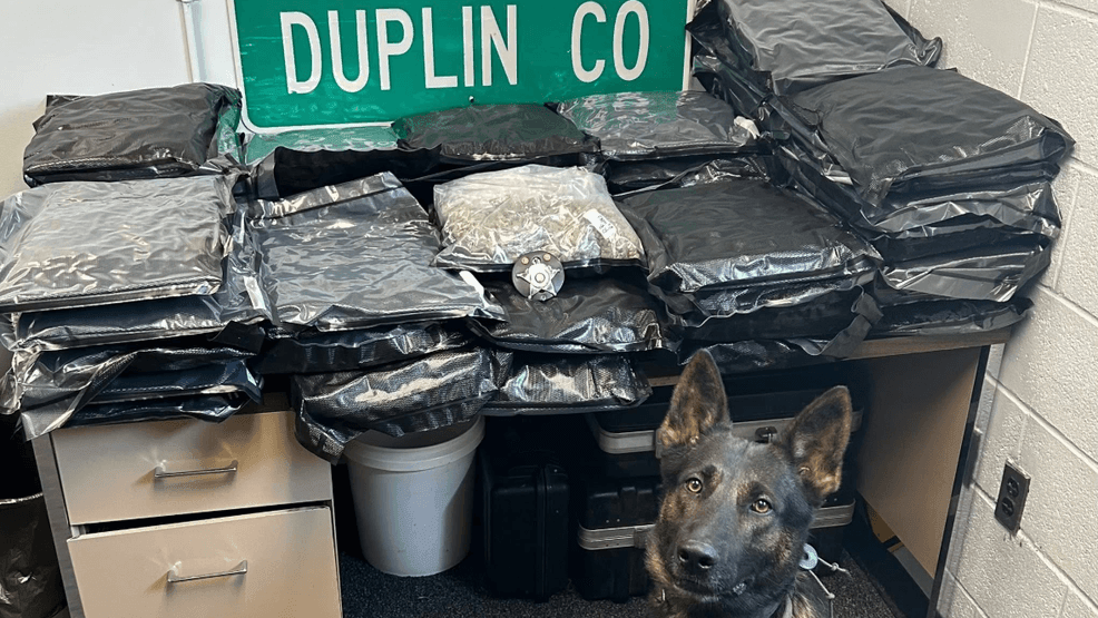 Duplin County traffic stop leads to $150k marijuana bust, Charlotte man ...