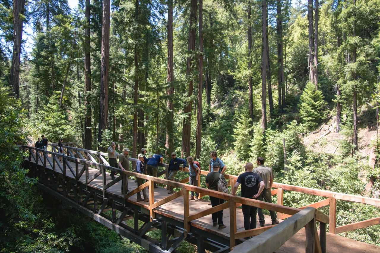Famed Big Sur waterfall trail reopens after years of closure