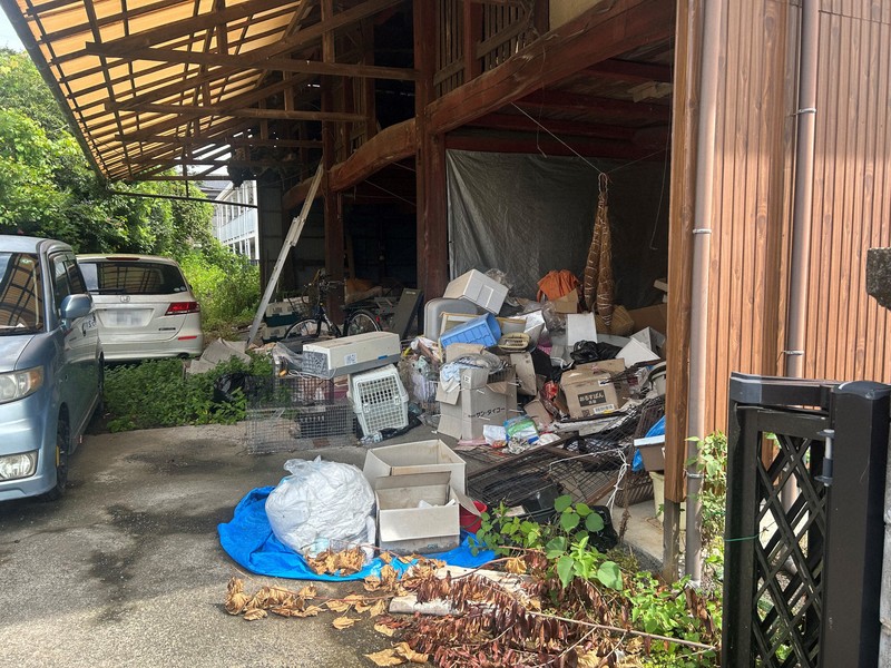 Japan woman arrested over alleged cat abuse after 132 carcasses found