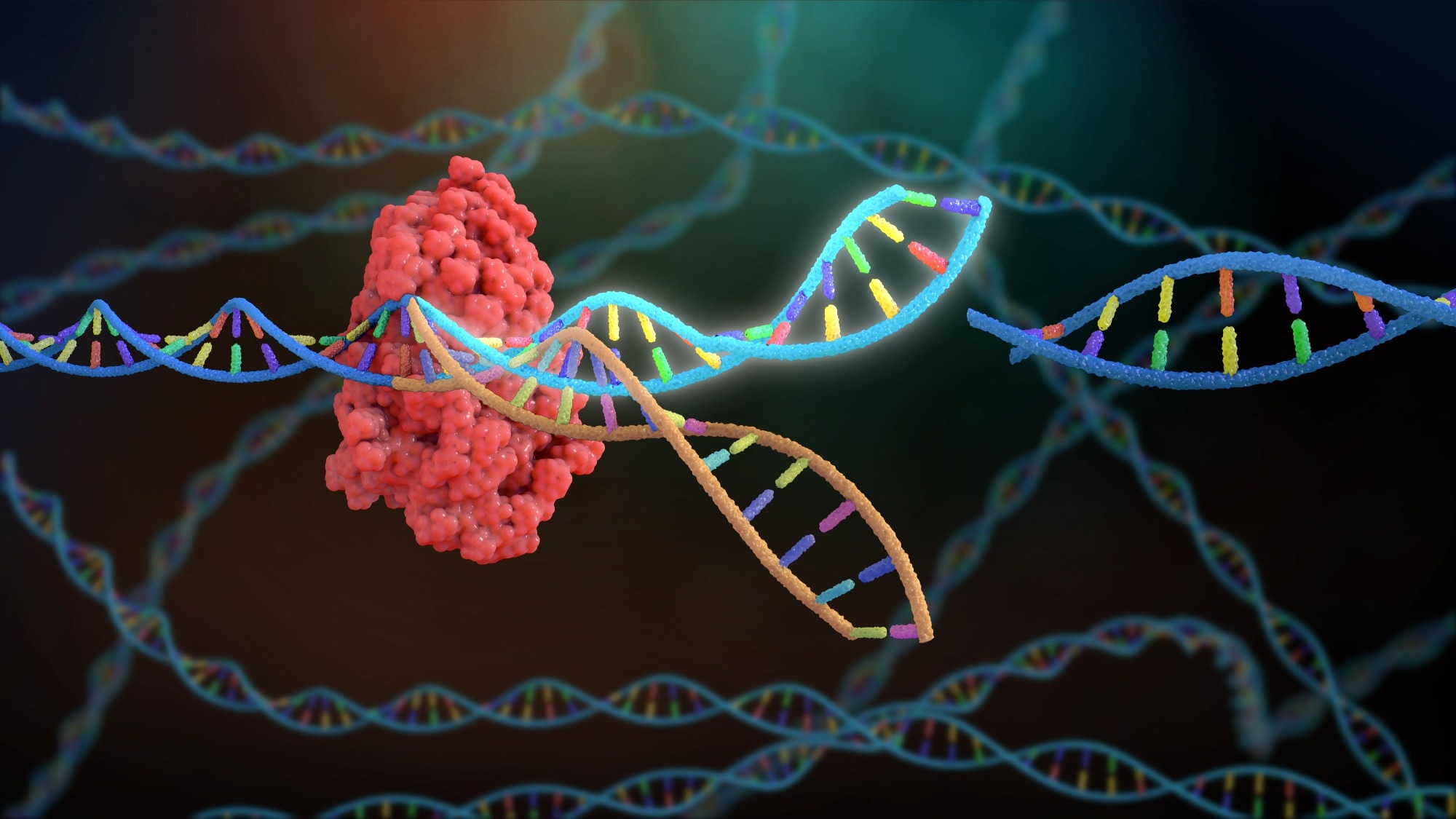 CRISPR-GPT Speeds Up Gene Editing And Opens Access To Genetic Research