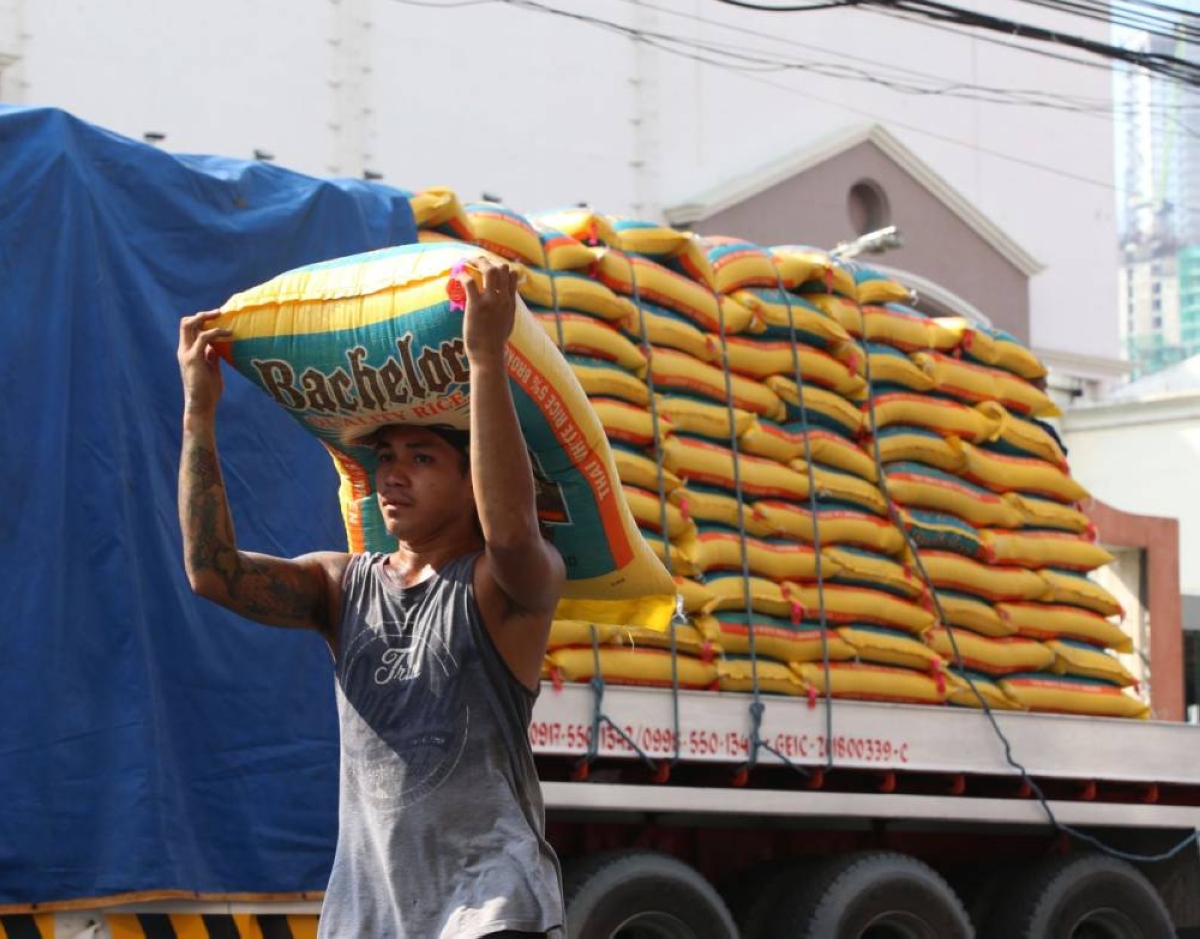 Agriculture chief mulls rice import ban extension