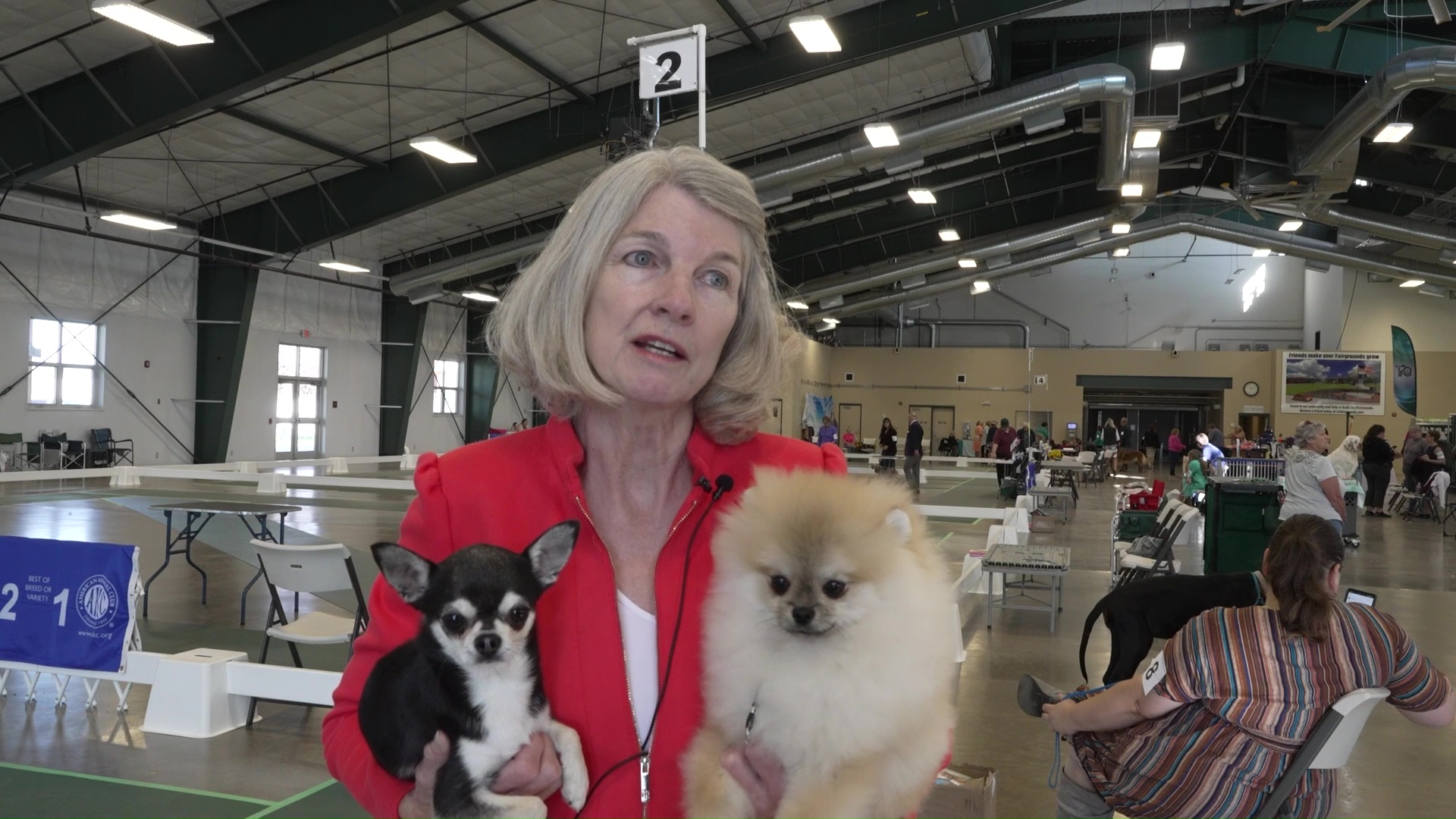 Dogs strut their stuff in Helena