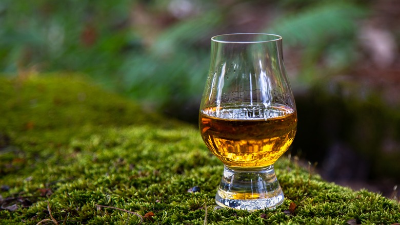 The Details Make All The Difference Between Bourbon And Scotch