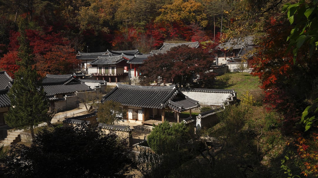 Dosanseowon's 450th anniversary honors Toegye Yi Hwang