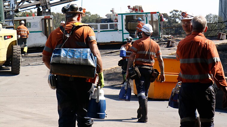 QCOAL's Cook Colliery coal mine in central Queensland to close half of ...