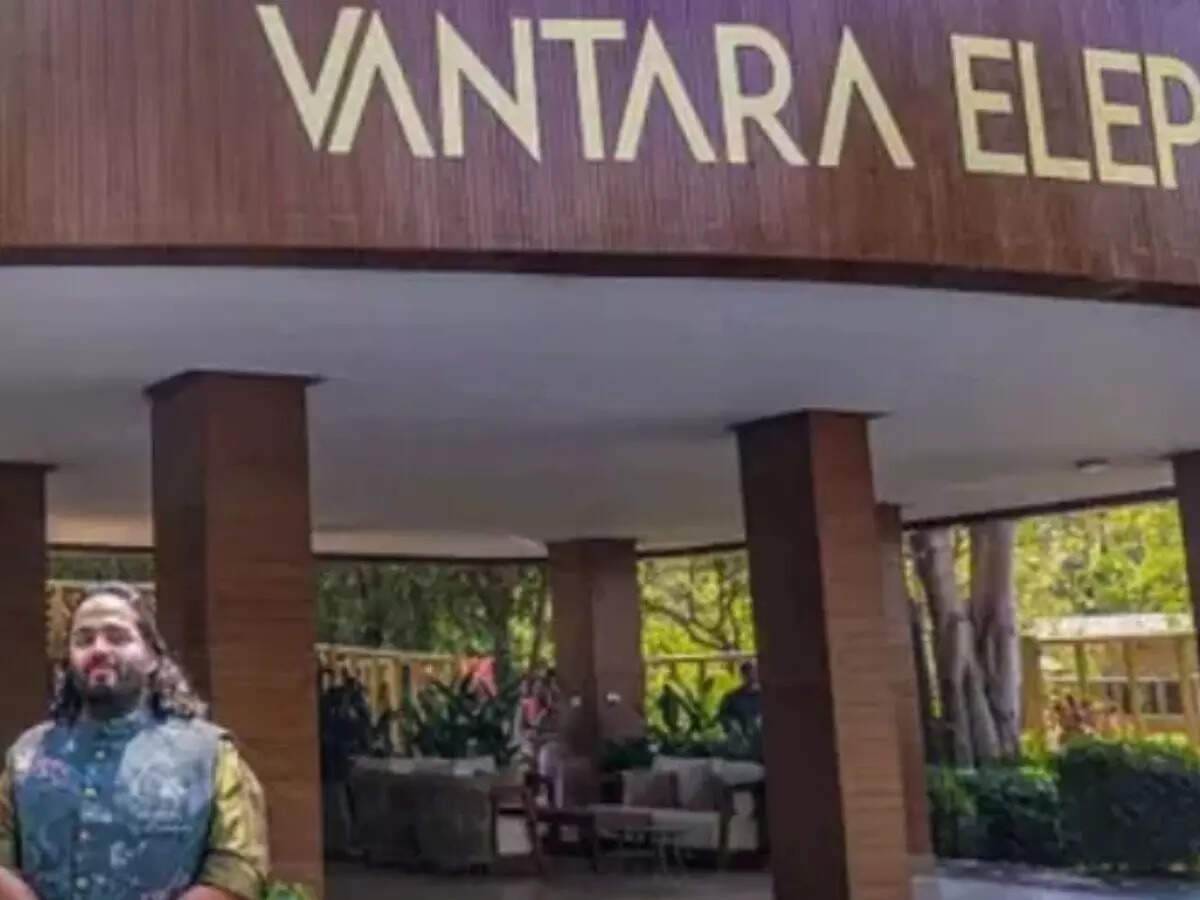 How did Ambani's Vantara zoo get the world's most endangered great ape?