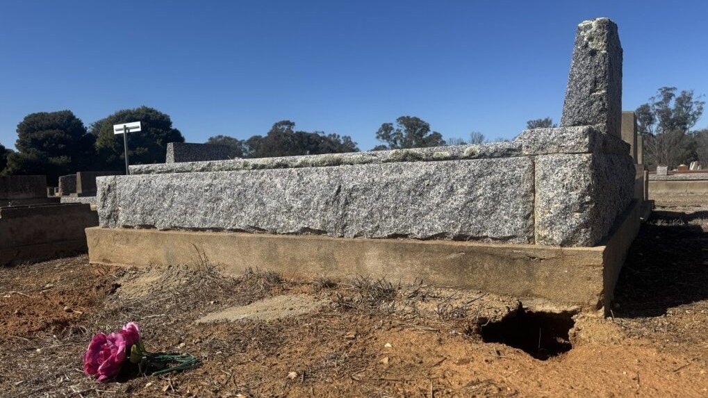 Rabbits cause 'devastating' damage to Junee cemetery in southern NSW