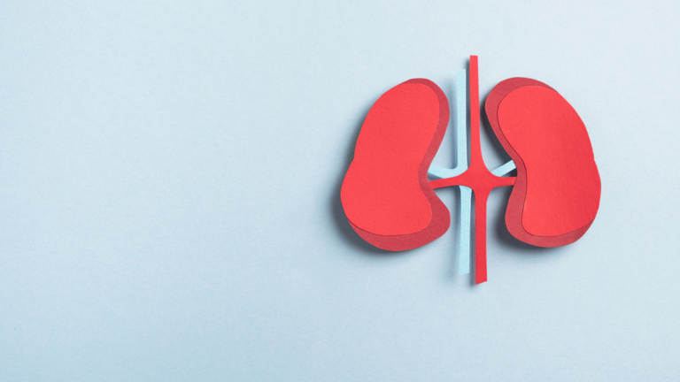 Kidney fibrosis: The dangerous condition that can shut down renal ...