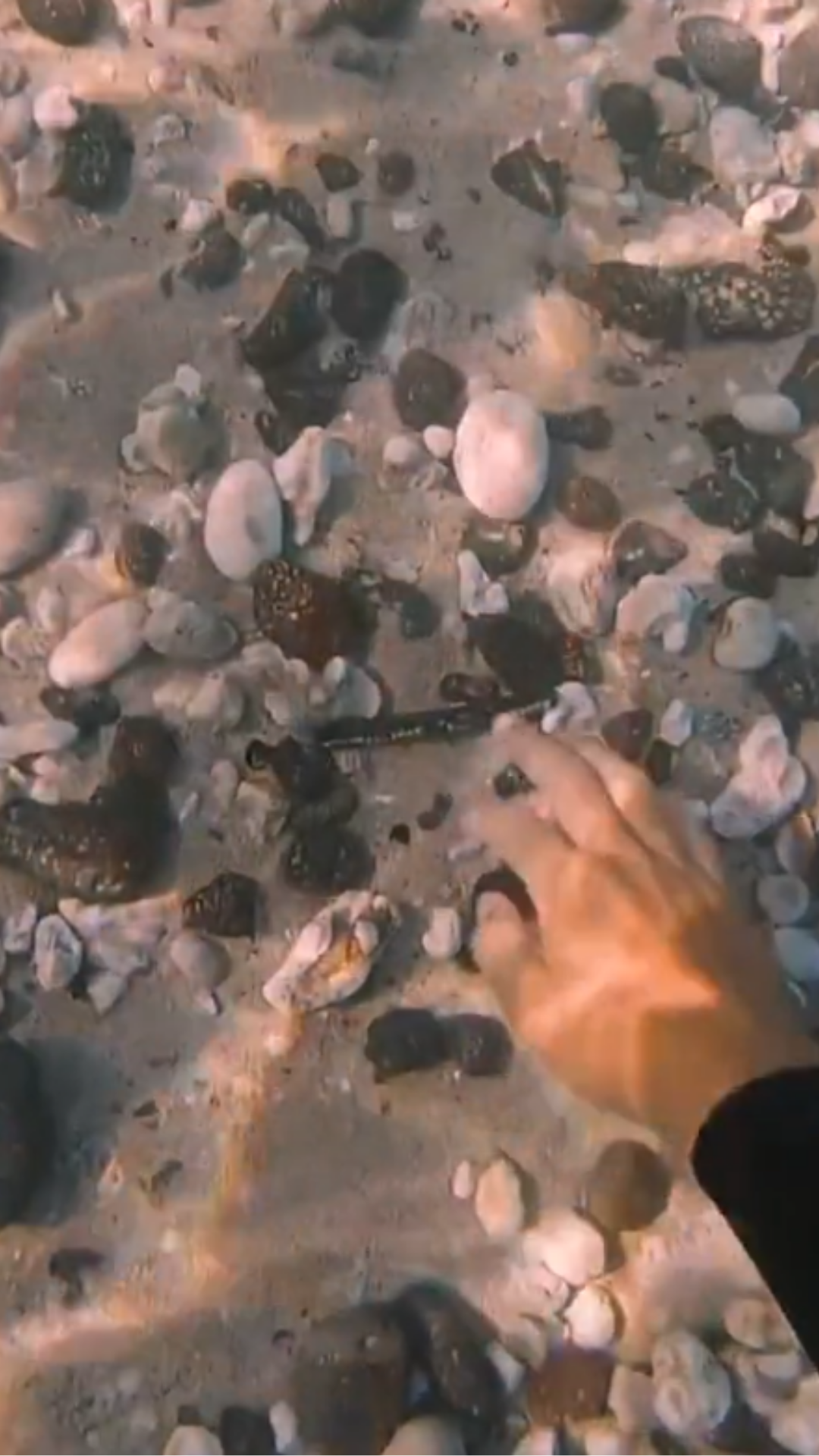 Who Would Leave This Stuff Behind in the Ocean?