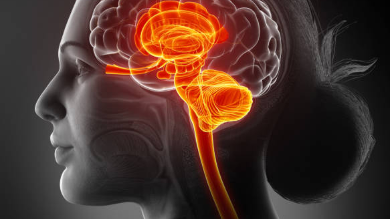 Boost your brain: Lutein-rich foods for memory and focus
