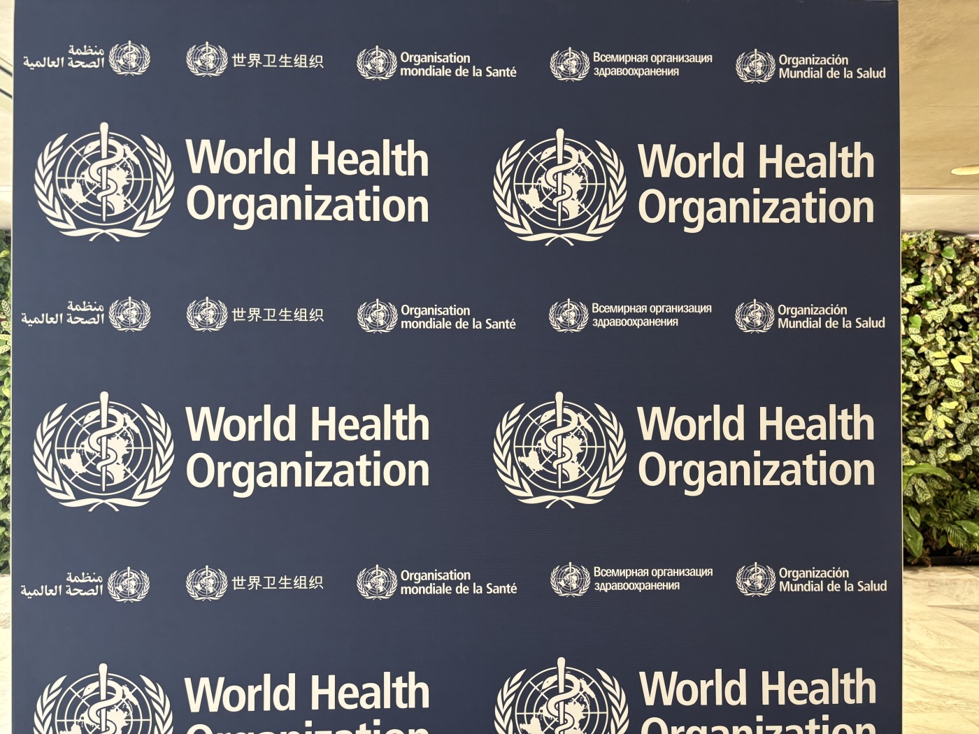 WHO stärkt Pandemie-Regeln – keine Anordnungen zu Lockdowns