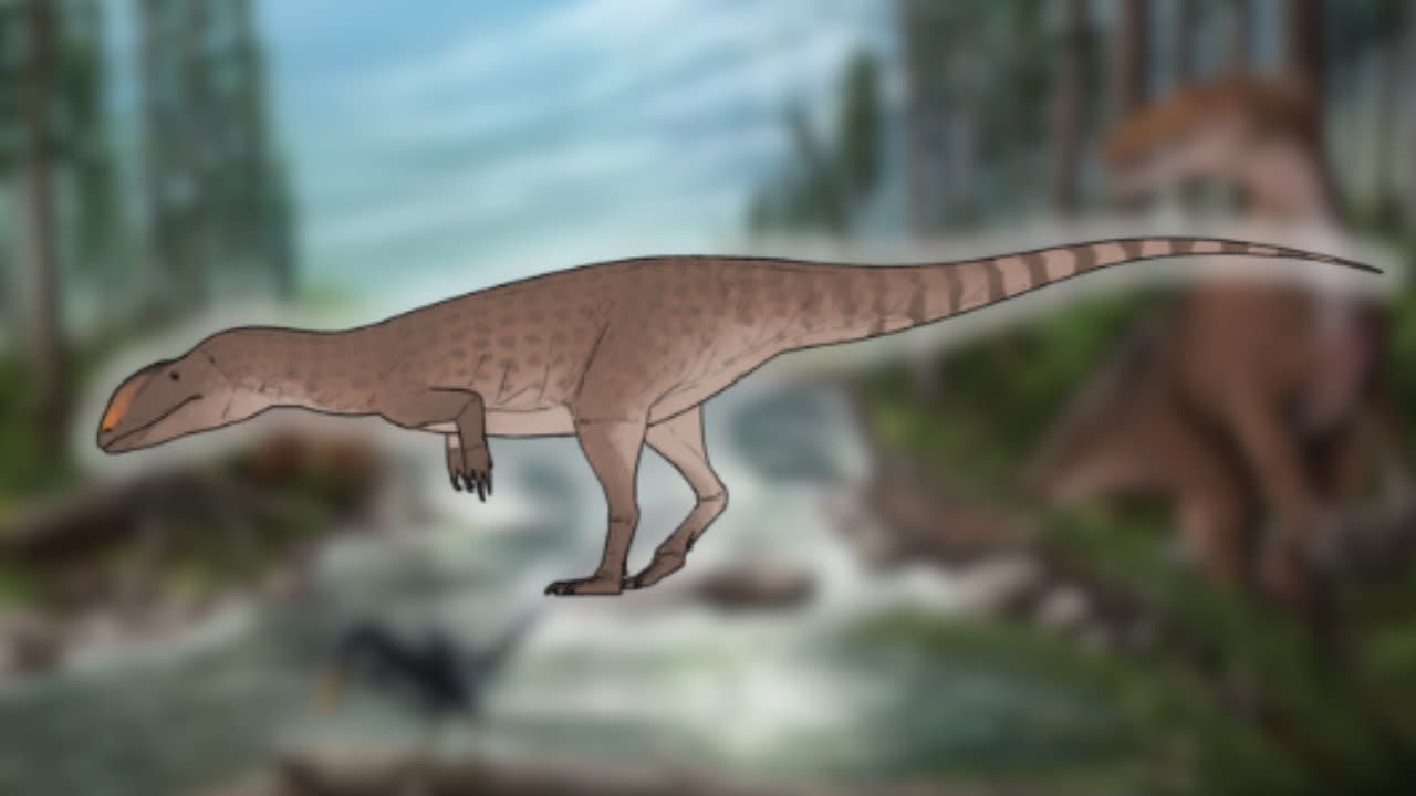 Scientists identify oldest large dinosaur predator from Welsh fossil ...