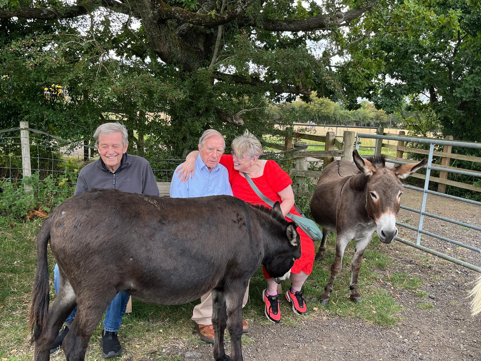 Dashing Donkeys bring joy to Guildford care home residents