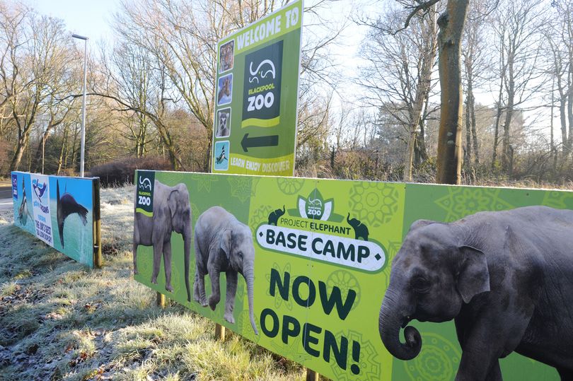 Family attraction outside Liverpool announce birth of animals on brink ...