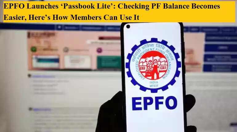 EPFO Launches ‘Passbook Lite’: Checking PF Balance Becomes Easier, Here ...