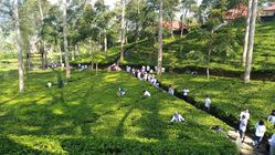 KEREN! Agro Wisata Tambi Wonosobo Masuk 60 Besar Wonderful Indonesia ...