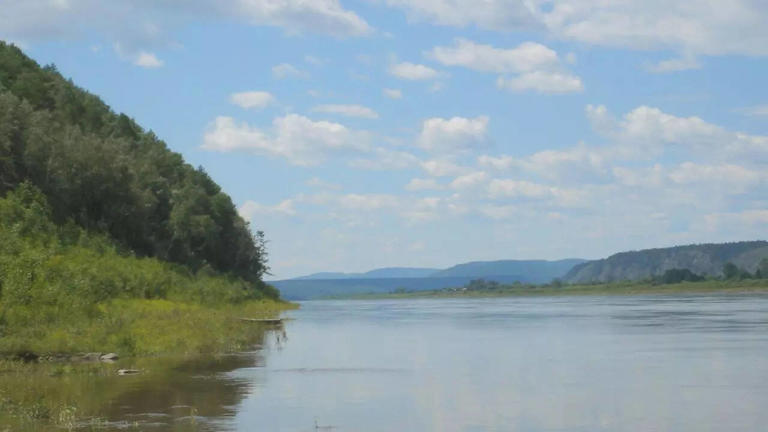 World's longest rivers: Know lengths, locations, and interesting facts