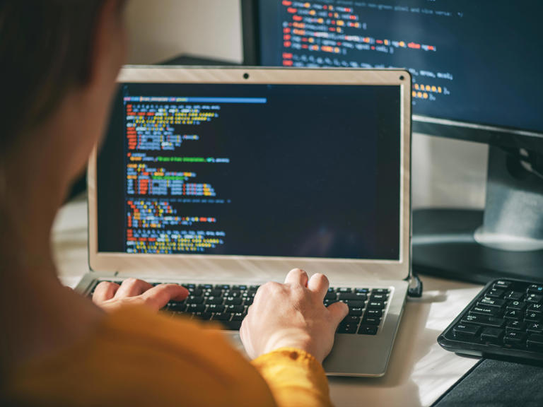 A senior software engineer says the 'most important survival skill' in a tech job isn't just ...