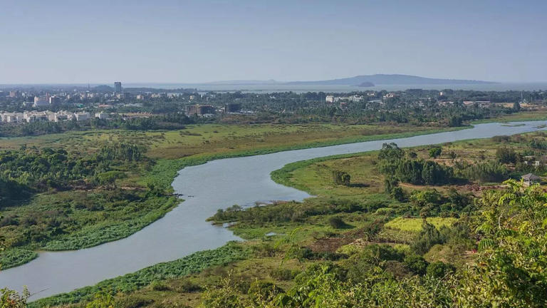 World's longest rivers: Know lengths, locations, and interesting facts