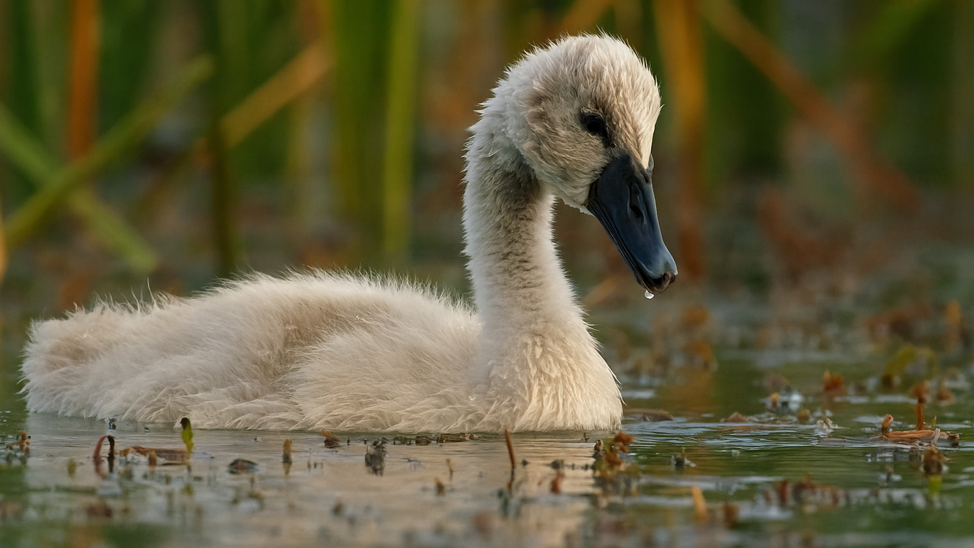 Into the Wild – Moments in Nature