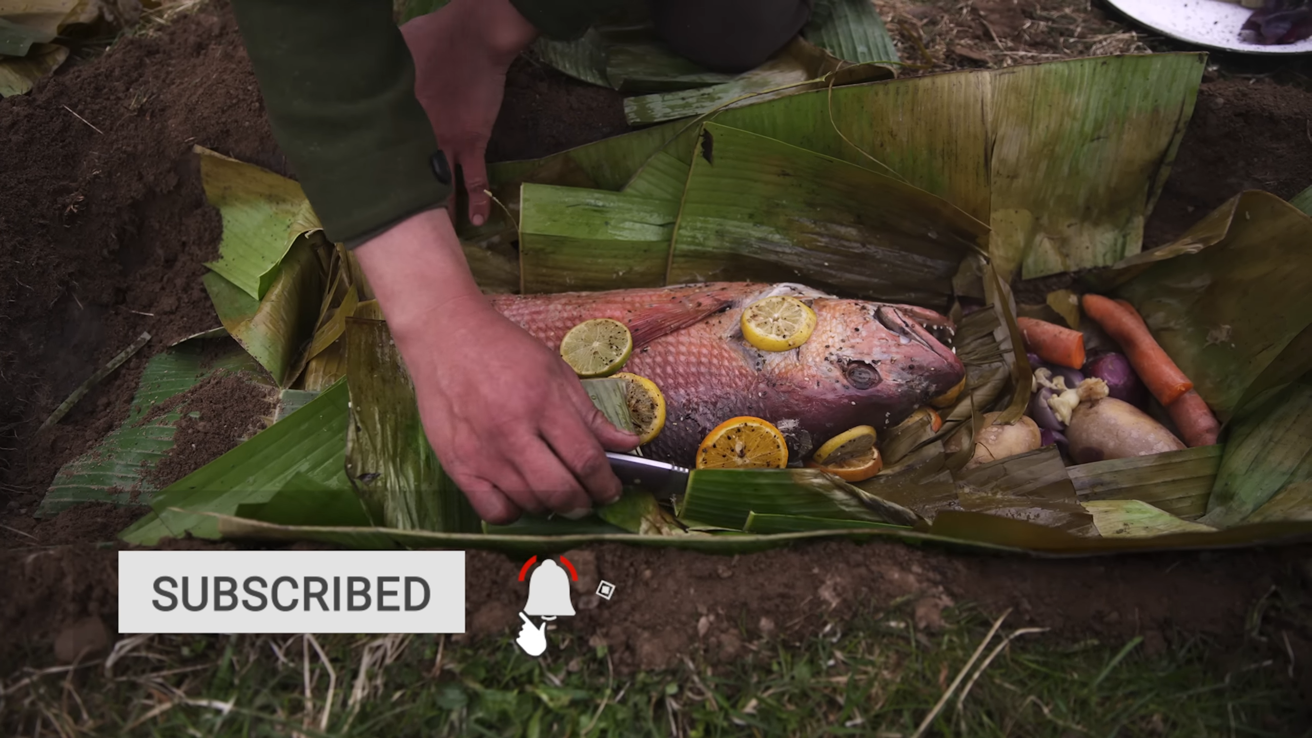 Cooking a 4KG Jewel Bass in Earth Oven