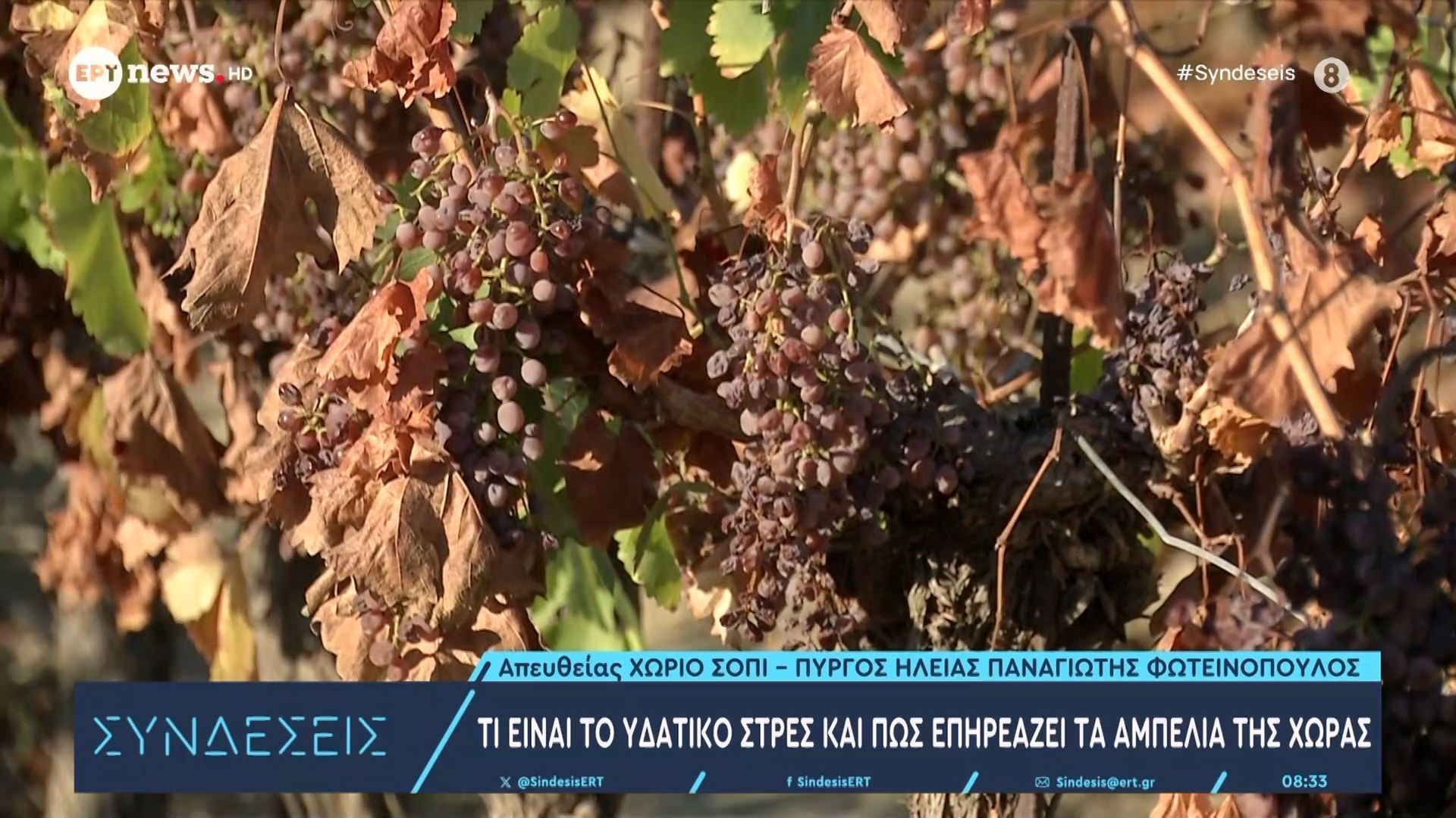 Τι είναι το υδατικό στρες και πώς επηρεάζει τα αμπέλια της χώρας