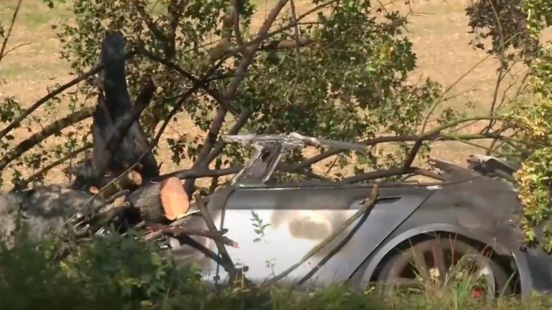 Tesla crash in Germany leaves man and two kids dead