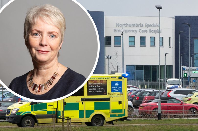 Leading North East NHS trust 'a good example' for future success, says ...