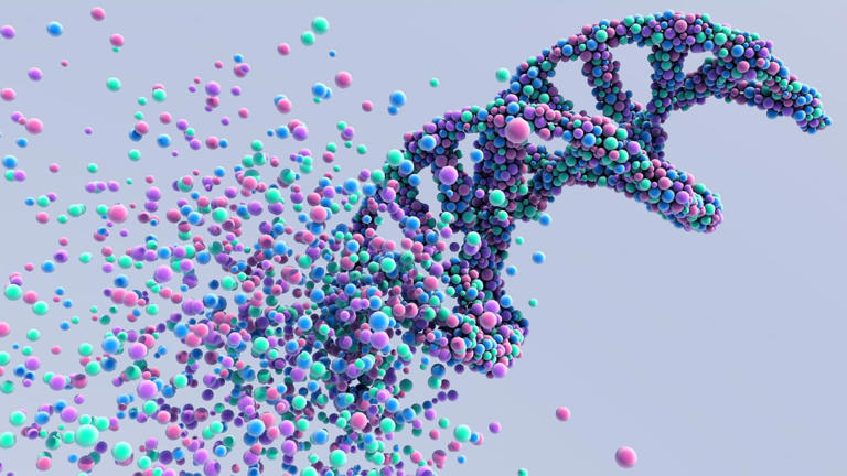 Scientists Capture Real-Time DNA Repair With Breakthrough Live-Cell Sensor