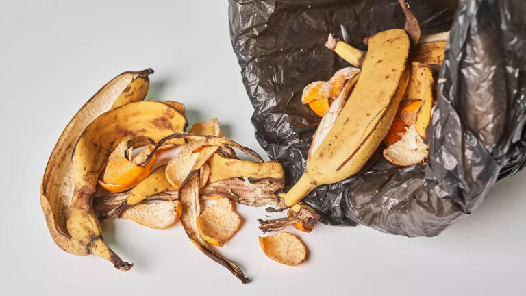 Don’t throw away your banana peels: Discover how everyday fruit waste ...