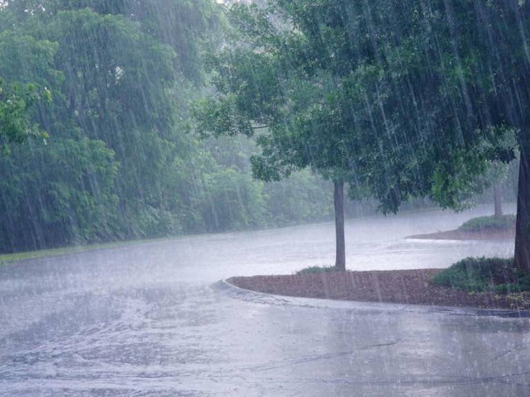 Wetter in Ludwigshafen am Rhein heute: Regentage! Ihre Wettervorhersage ...