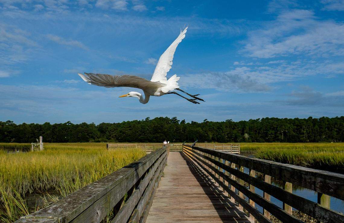 Grand Strand spot was named one of 6 natural SC wonders. Have you ...