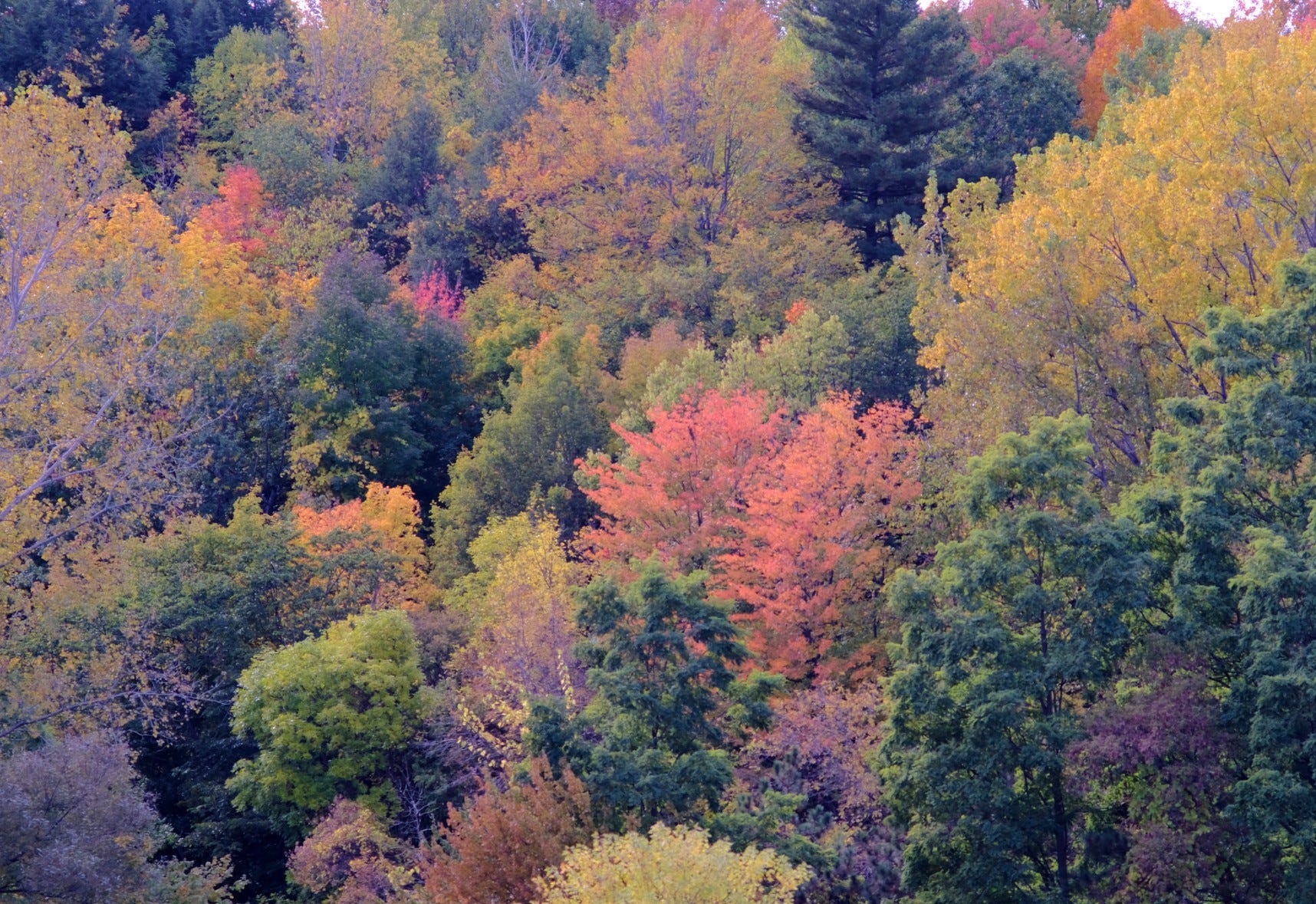 Vermont has one of the best places to visit in the fall, per USA TODAY ...