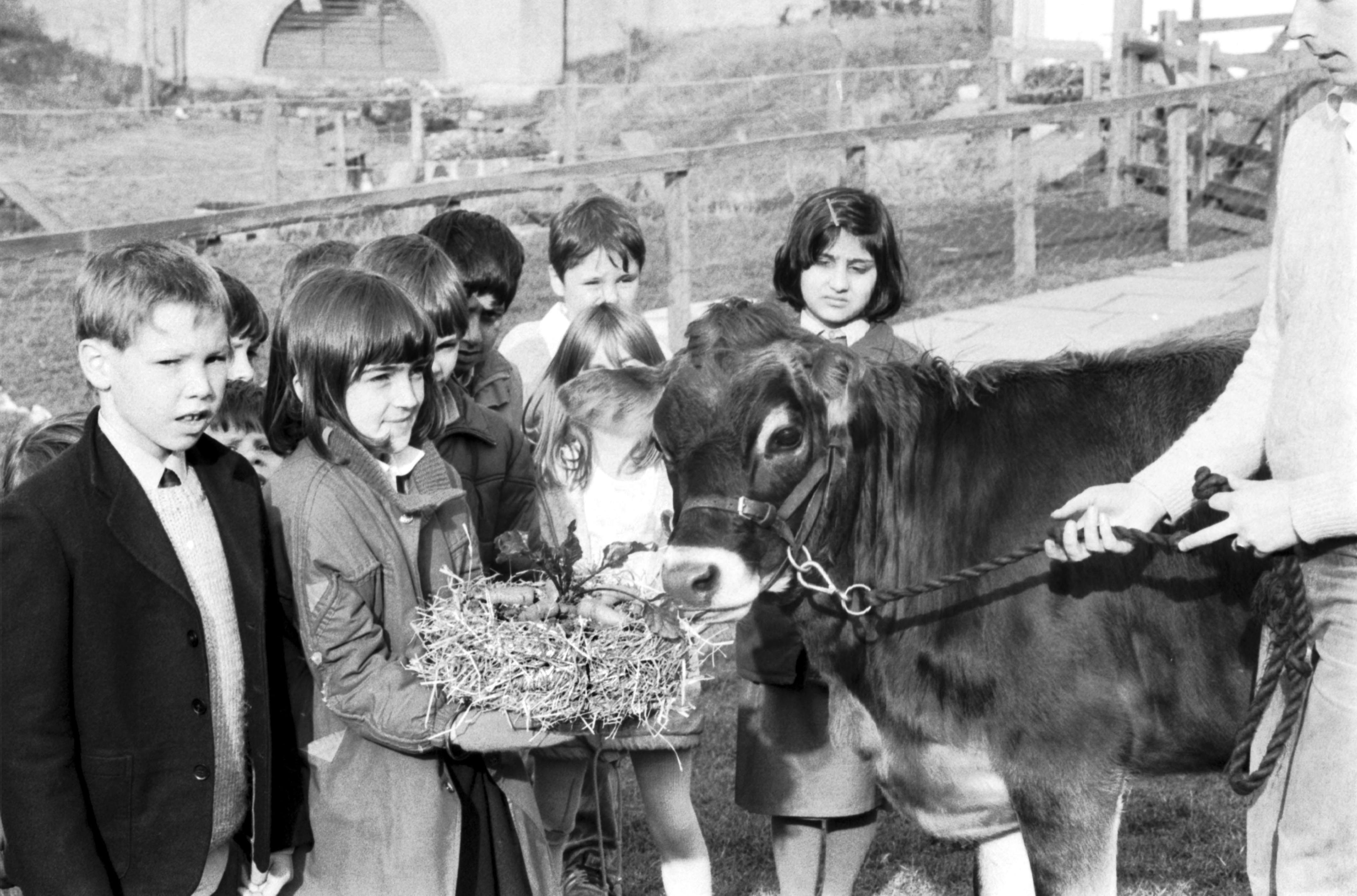 Scotland retro: 41 of the best photos taking you back to the 80s, from ...