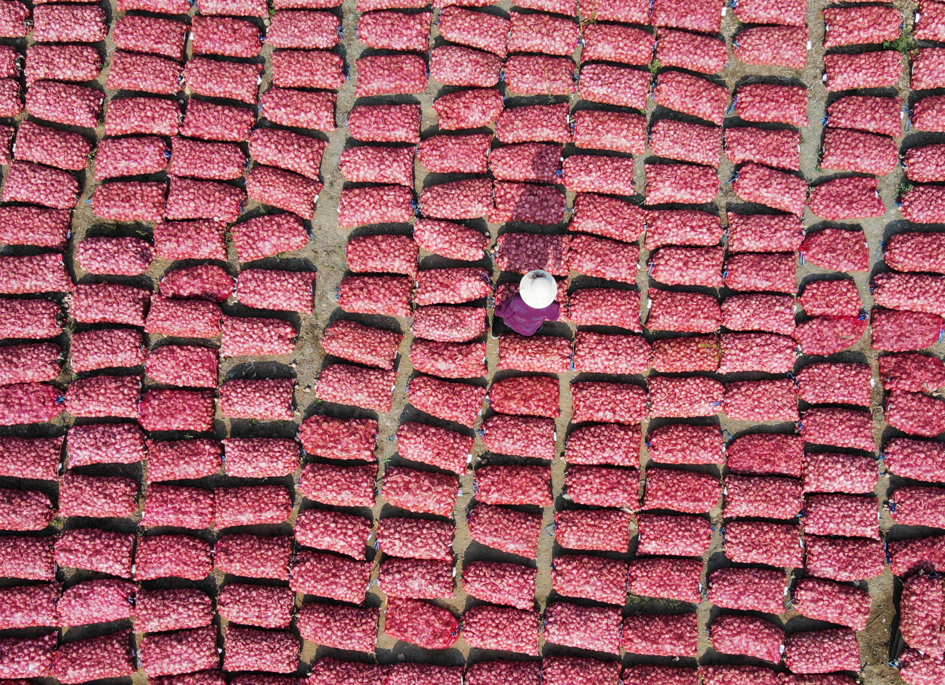 The Weirdest Things These Countries Are The Best At