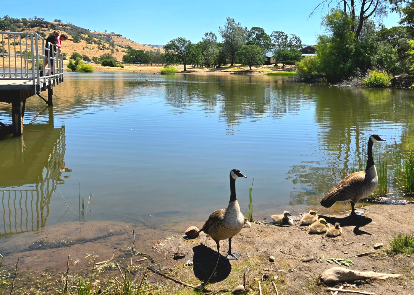 Three things to do this weekend