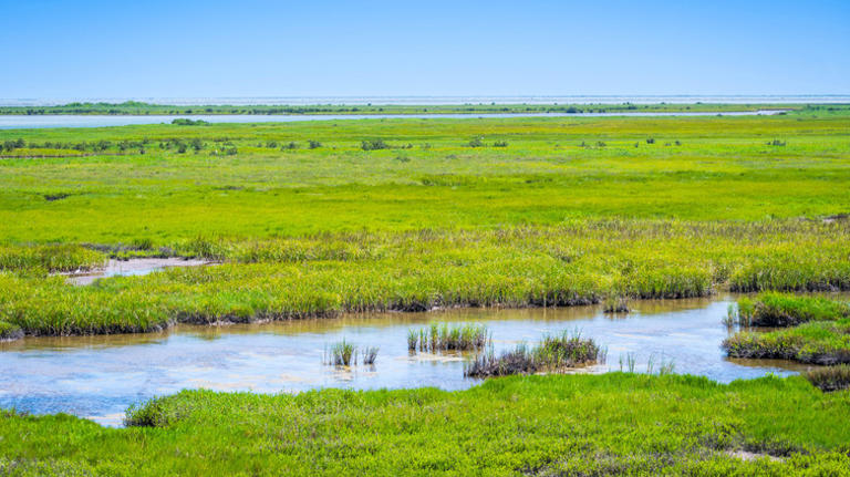 The 950-Acre Stretch Of Texas Coastline Dedicated To Thriving Wildlife