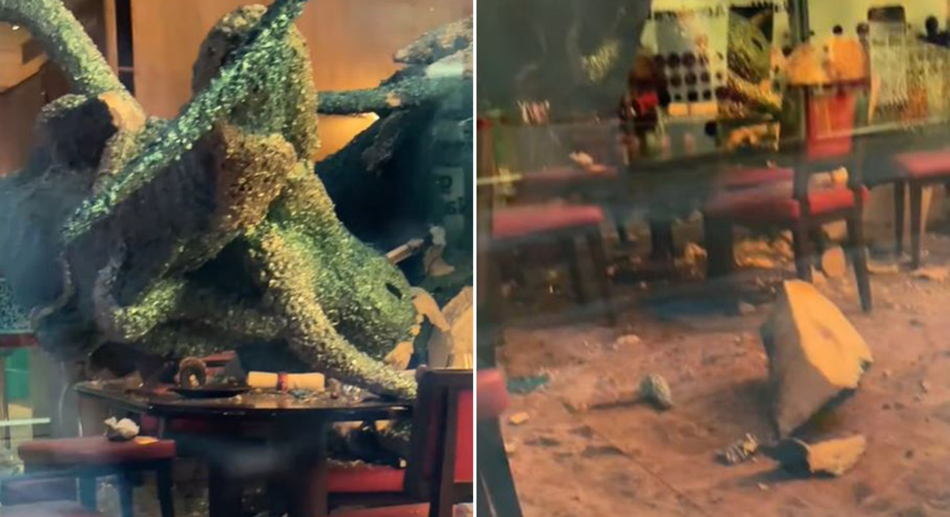 Damien Hirst sculpture collapses at Sexy Fish eatery