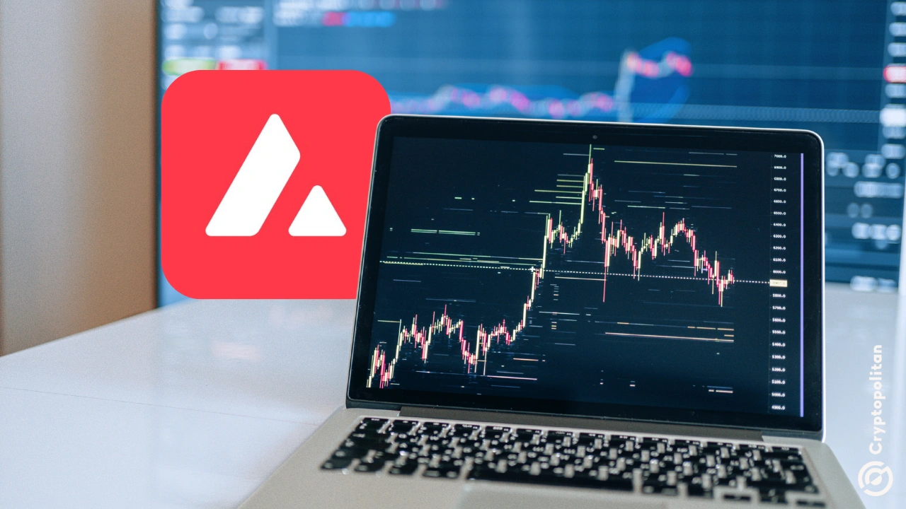 AVAX rallies to 3-month peak on network, DeFi growth hype