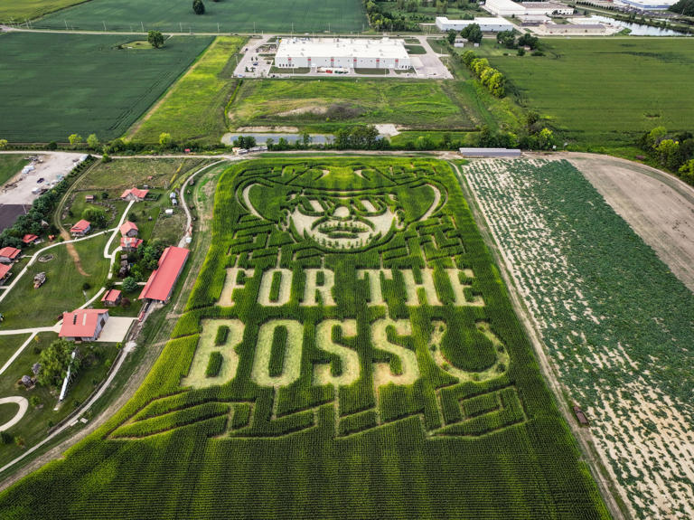 It's almost fall, and these Indiana farms have corn mazes to get lost ...