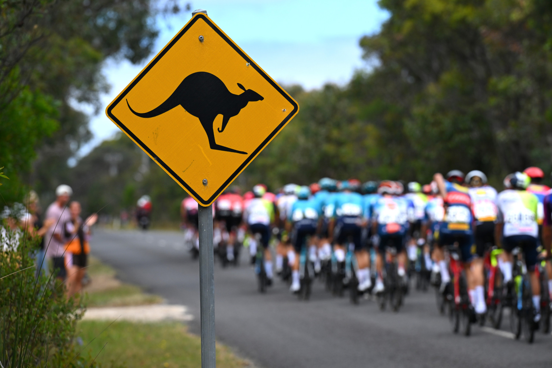 Funny and unusual traffic signs across the globe