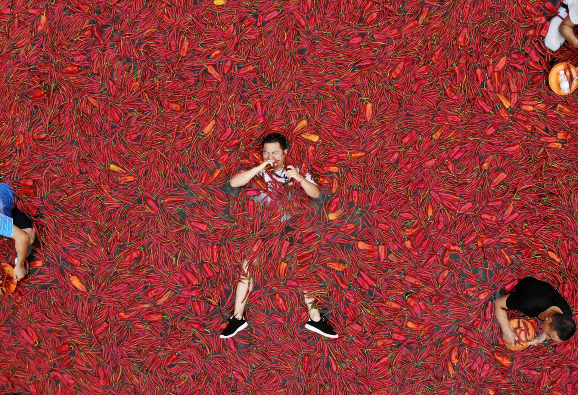 The world’s hottest peppers, and where to eat them
