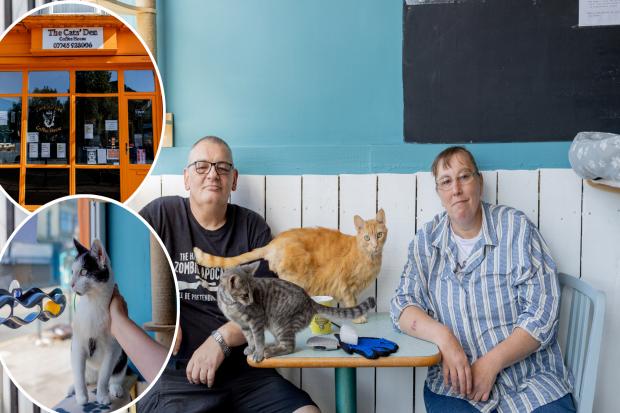 First look inside Darlington's new cat café opening its doors today