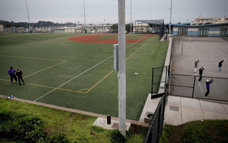 San Francisco doesn't need 20 acres of plastic turf at Crocker Amazon Park