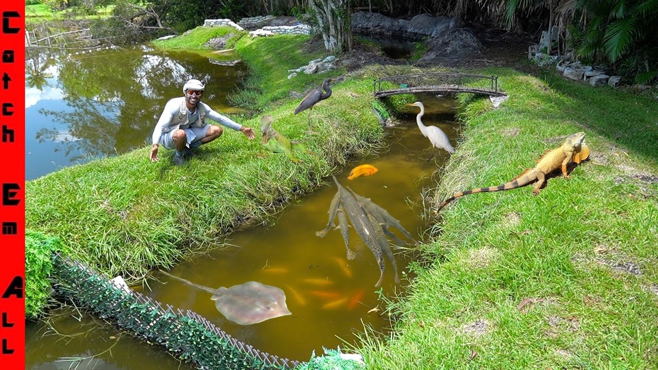 I Rebuilt An Entire Backyard River Using Just A Shovel