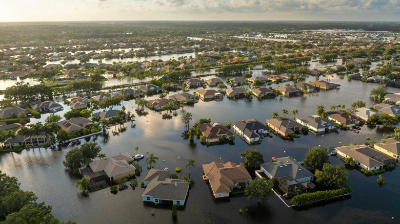 Scientists Reveal How Long We Might Have Before Florida's Coastline Is ...