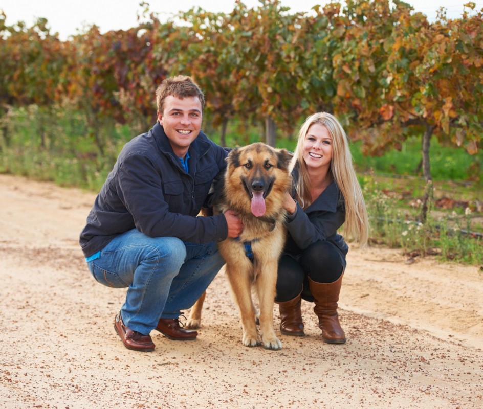 Top Dog-Friendly Wineries Recommended by a Pet Travel Expert