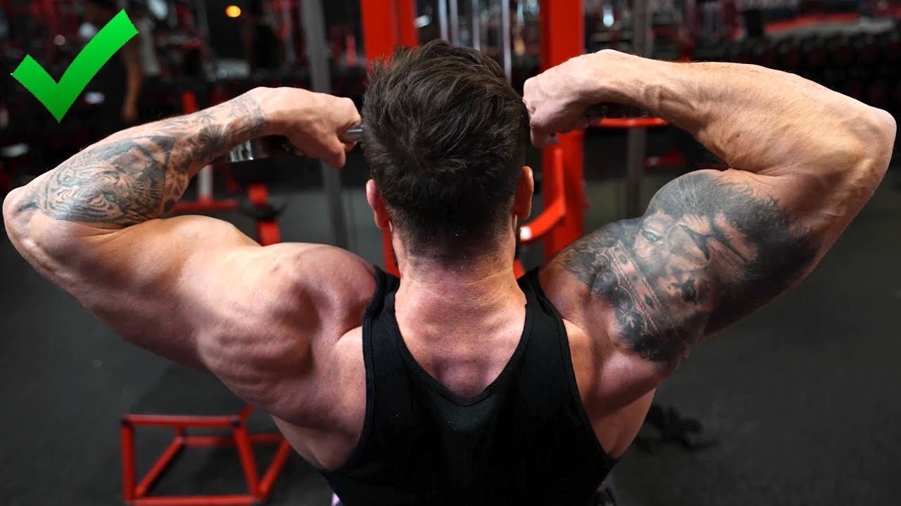 Perfect shoulder workout targets front, side, and rear delts