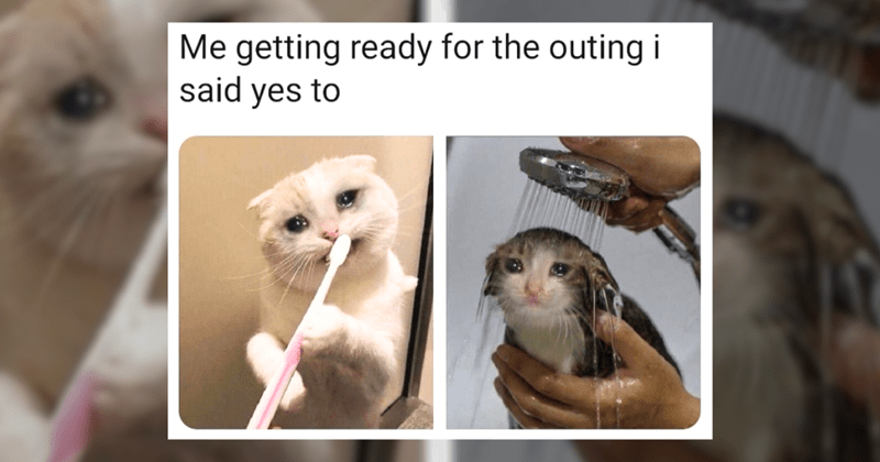 23 Introvert Memes for Anti-Socialites Who Enjoy the Drama From Afar