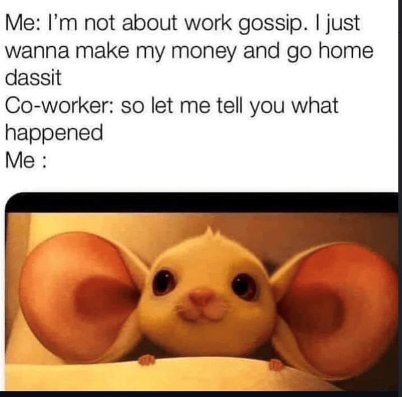 Laugh at These Animals Who Perfectly Describe the Existential Crisis of ...